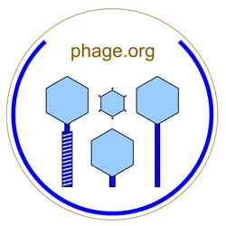 Untitled Document [www.archaealviruses.org]
